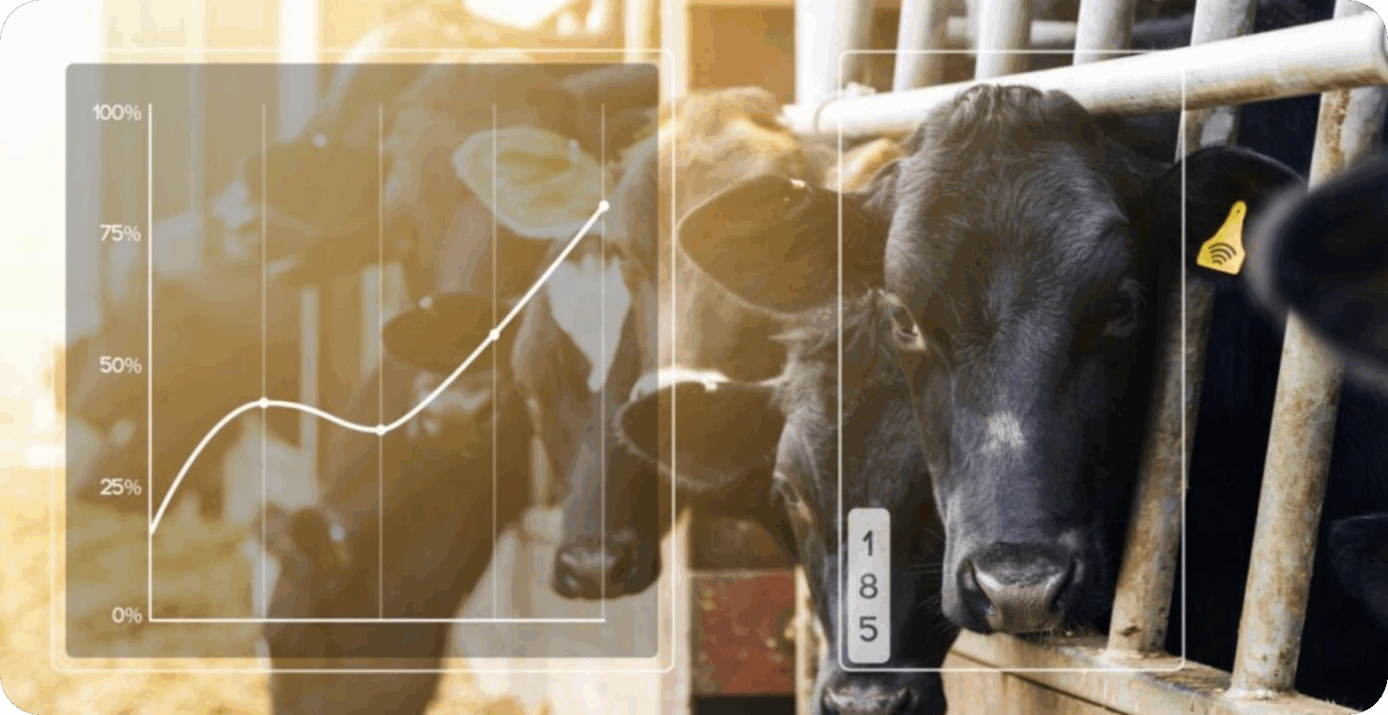 Blog: Optimize Your Dairy Farm With Feed Management Software