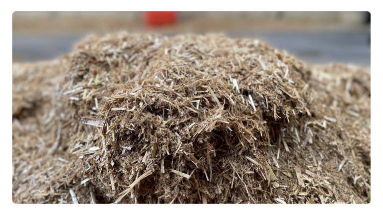 Technology for Optimal Feeding Management - Precision Feeding